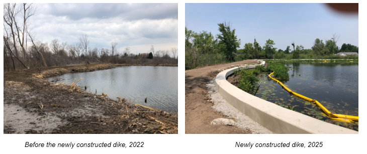 Why Dikes Matter: Protecting Our Lakes and Homes - Turkey Creek